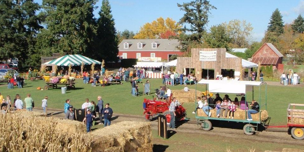 Prince George’s Council Looks to Boost Agritourism Through New Pilot ...