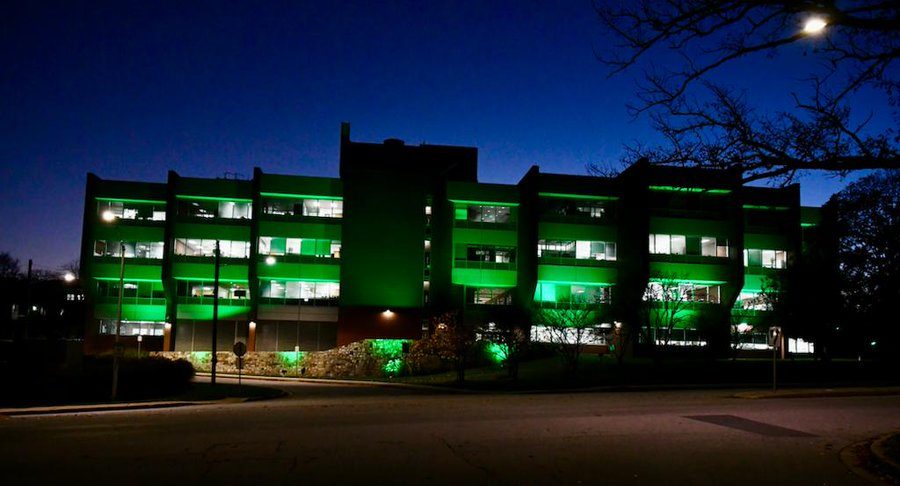 Operation Green Light for Veterans - Highlights and Next Steps ...