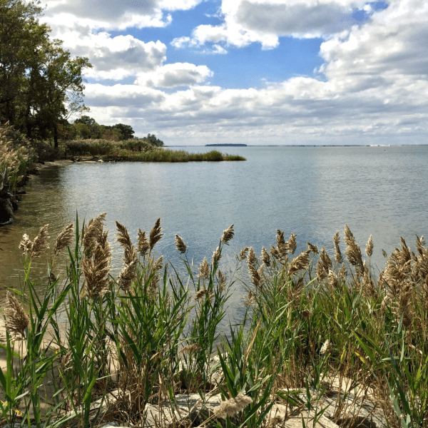 DNR Sec. Shares Progress on New Chesapeake Bay Restoration